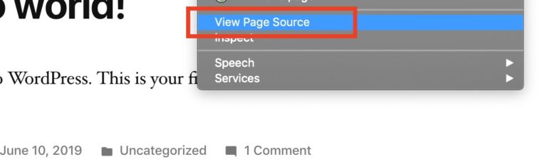 How to Check WordPress Version of Any Site (4 Methods)