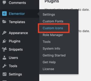How to Add Custom Icons to Elementor Pro (Step-by-Step Guide)